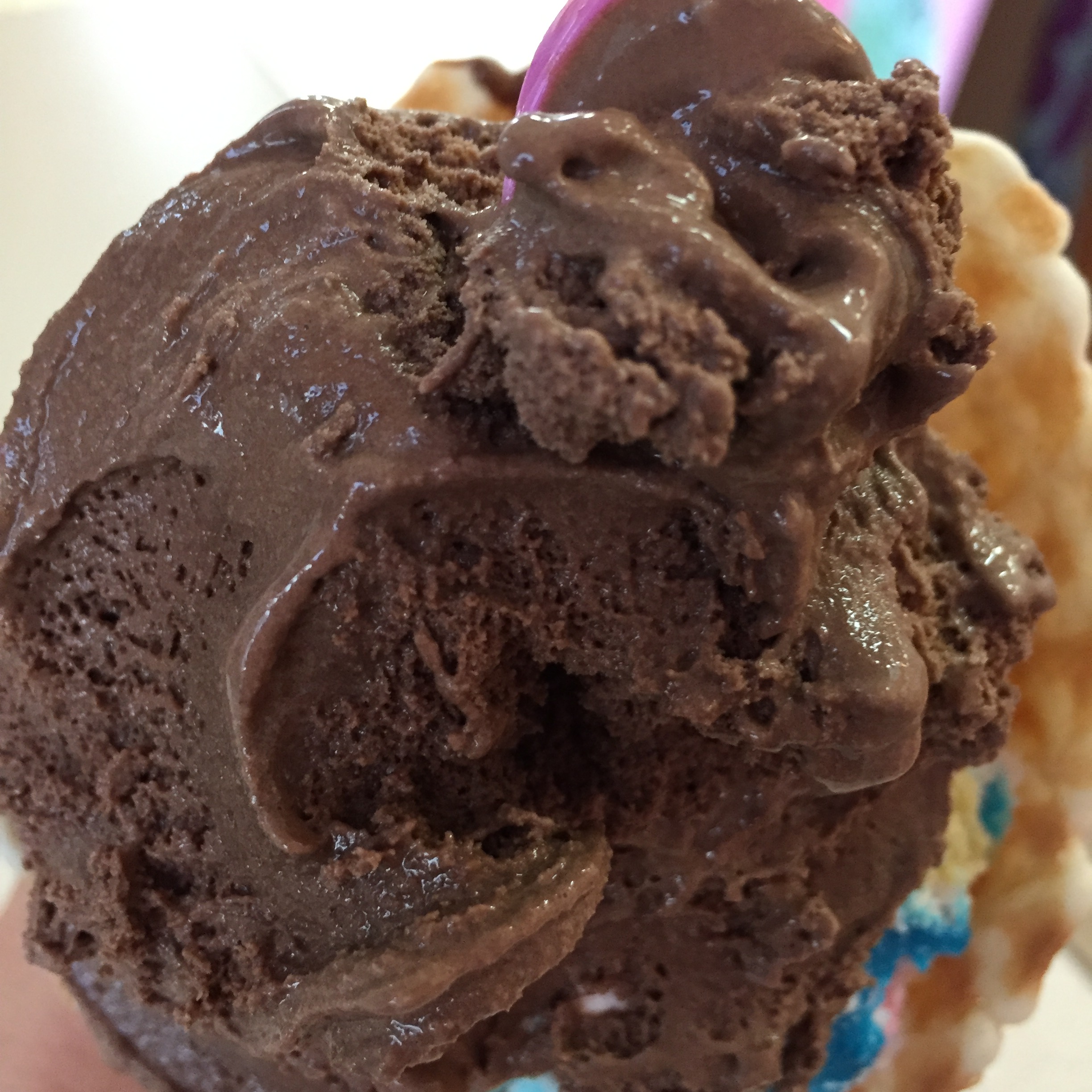 REVIEW: Baskin Robbin’s Peppermint Bark in the Dark | Sean's Skillet