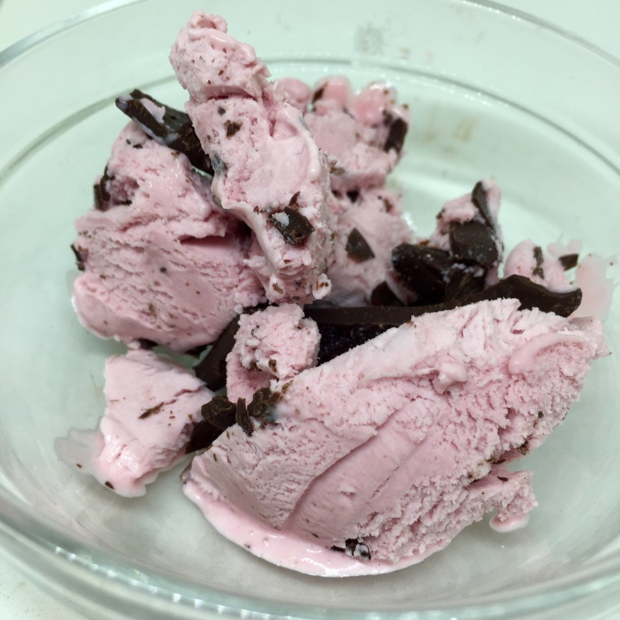 REVIEW: Magnum Dark Chocolate Raspberry Tub | Sean's Skillet