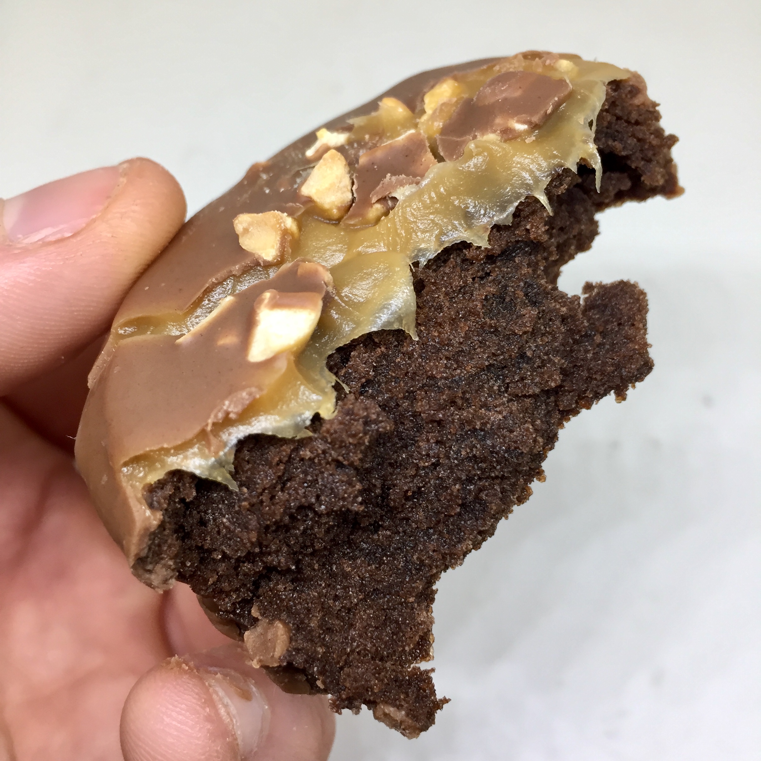 REVIEW: Little Debbie Turtle Brownies | Sean's Skillet